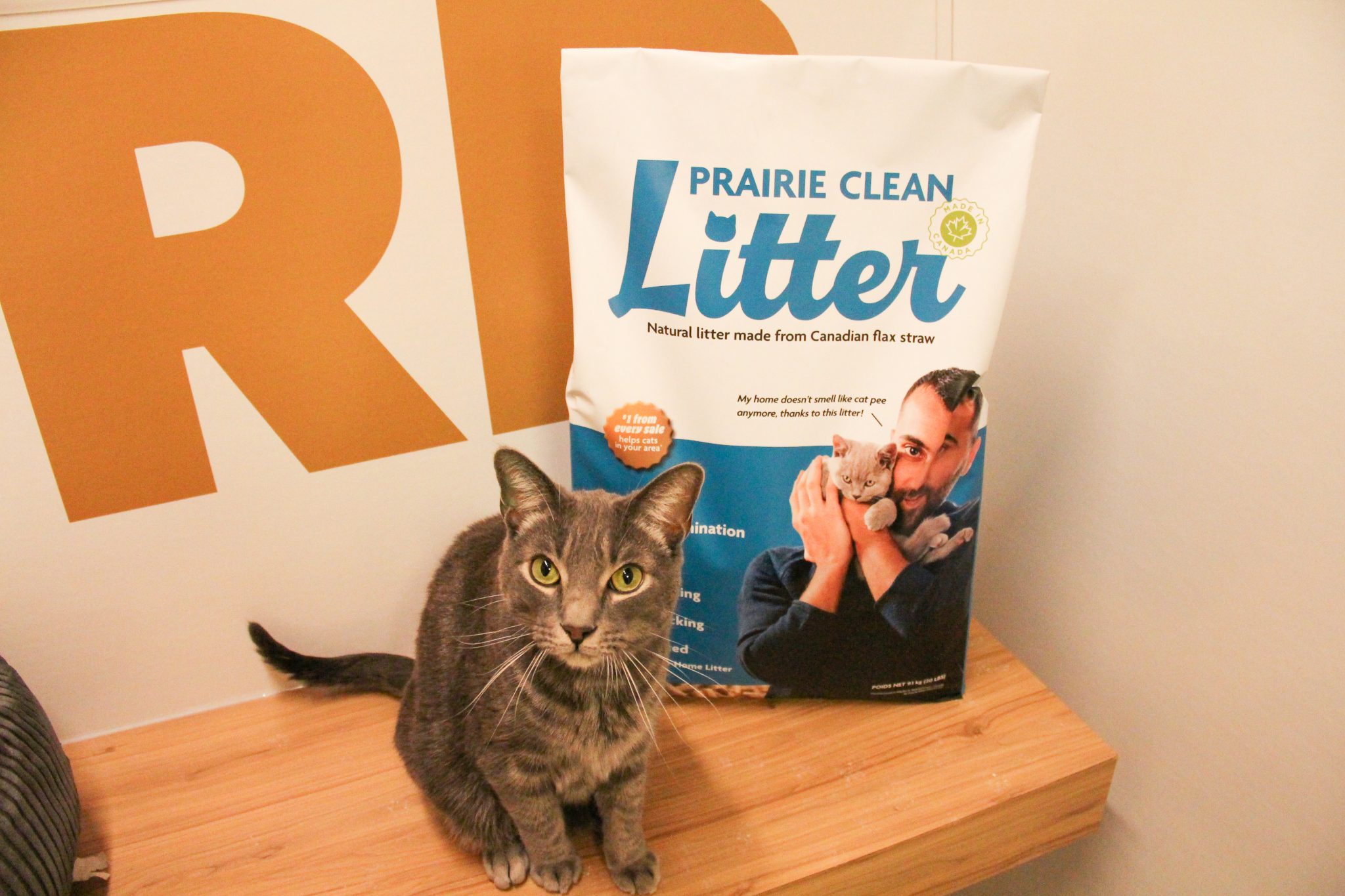 Sustainable, Local and Cat-Approved! The RHS Partners with Prairie ...
